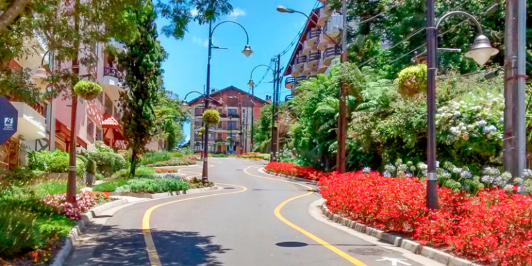 Guia completo sobre Gramado: tudo que você precisa saber!