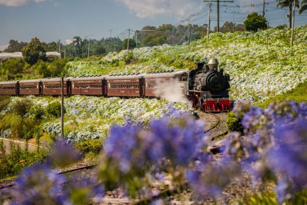 Guia completo sobre o passeio da Maria Fumaça – Blog da Brocker